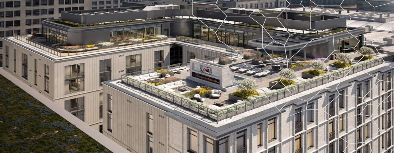 Pet-friendly apartments in Washington, DC | Balsa